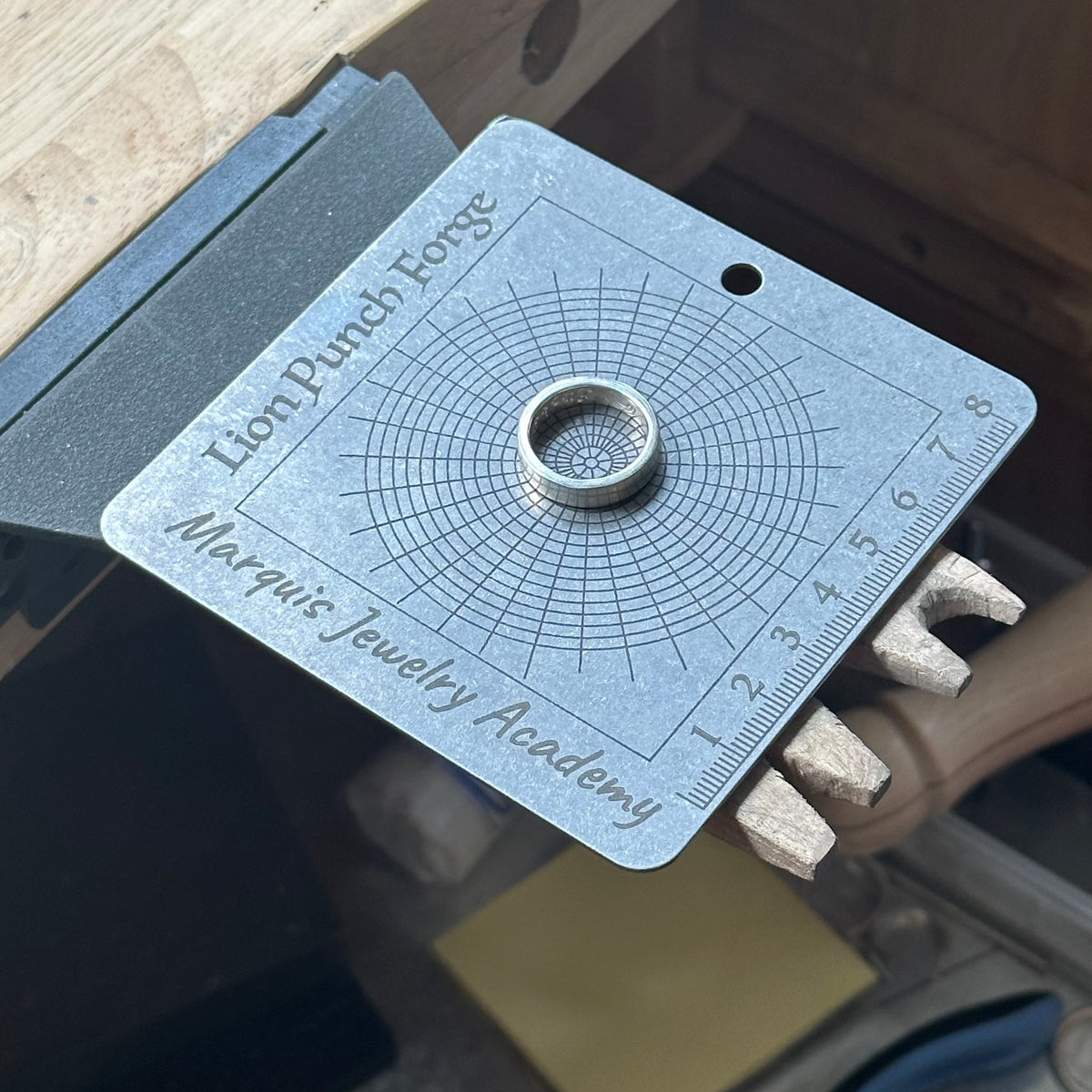 Circle pattern grid template (Stainless) — Lion Punch Forge