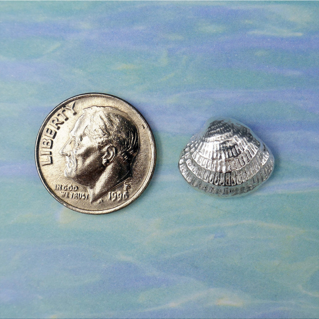 Sea Shell — Lion Punch Forge