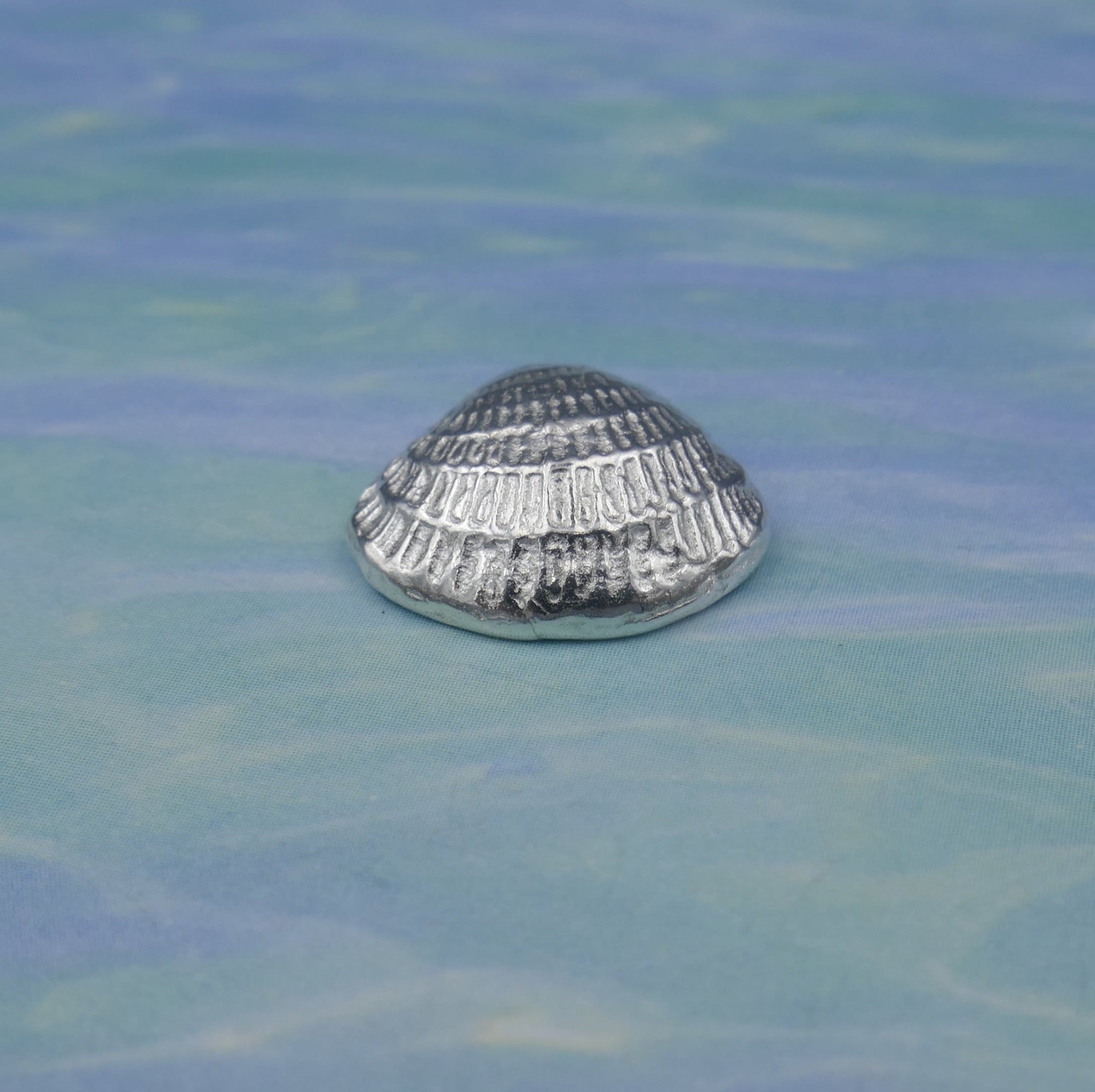 Sea Shell — Lion Punch Forge